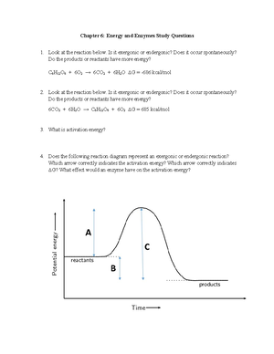 Biology 1 Chapter 7 Key Concepts - Biology 1 Chapter 7 Terms and ...