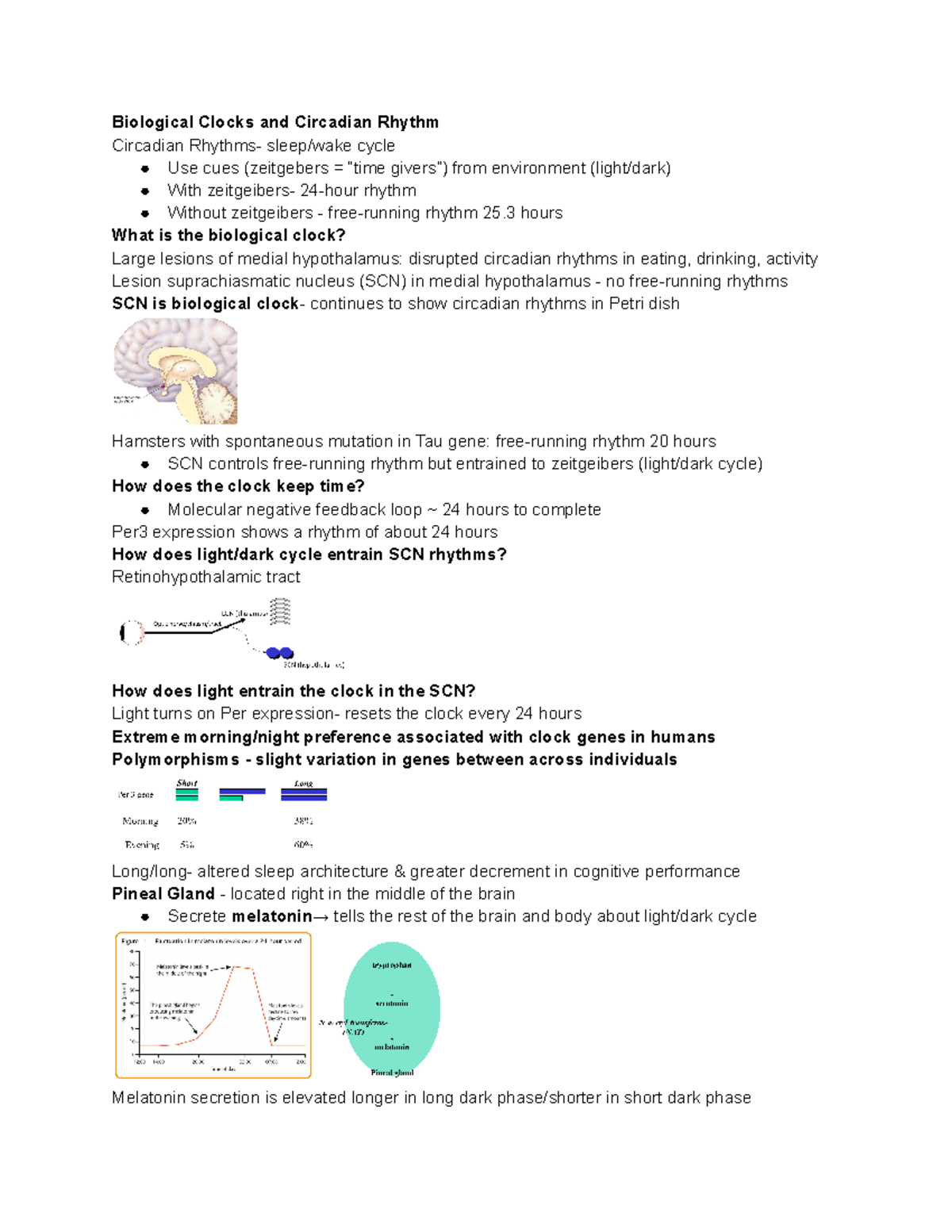 Exam 3 Study Guide - PSY 214 - UAlbany - Studocu