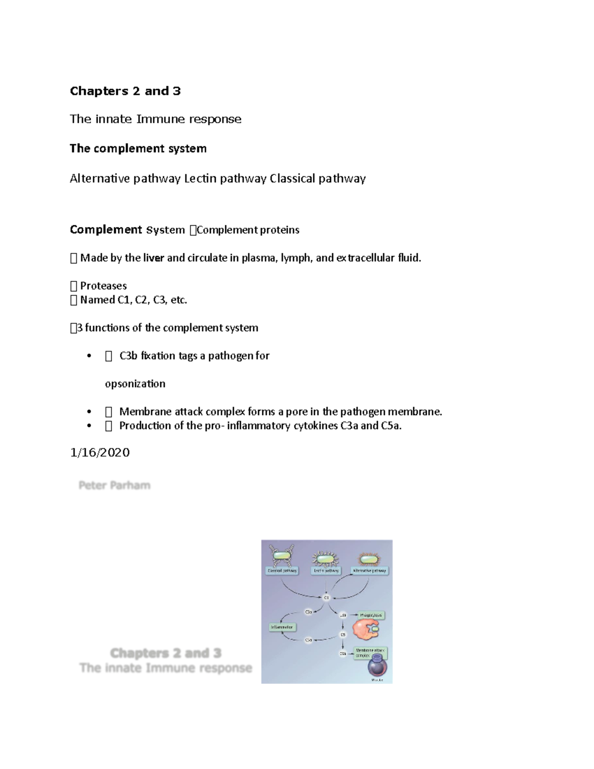 Chapter 1 The complement system - Chapters 2 and 3 The innate Immune ...