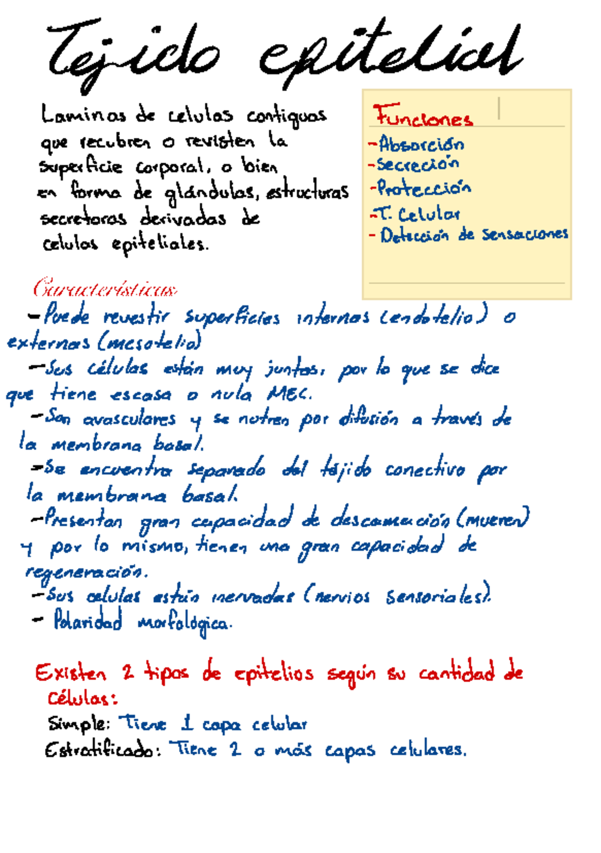 Resumen tejido epitelial - Características Legidoepitelial Laminas de ...
