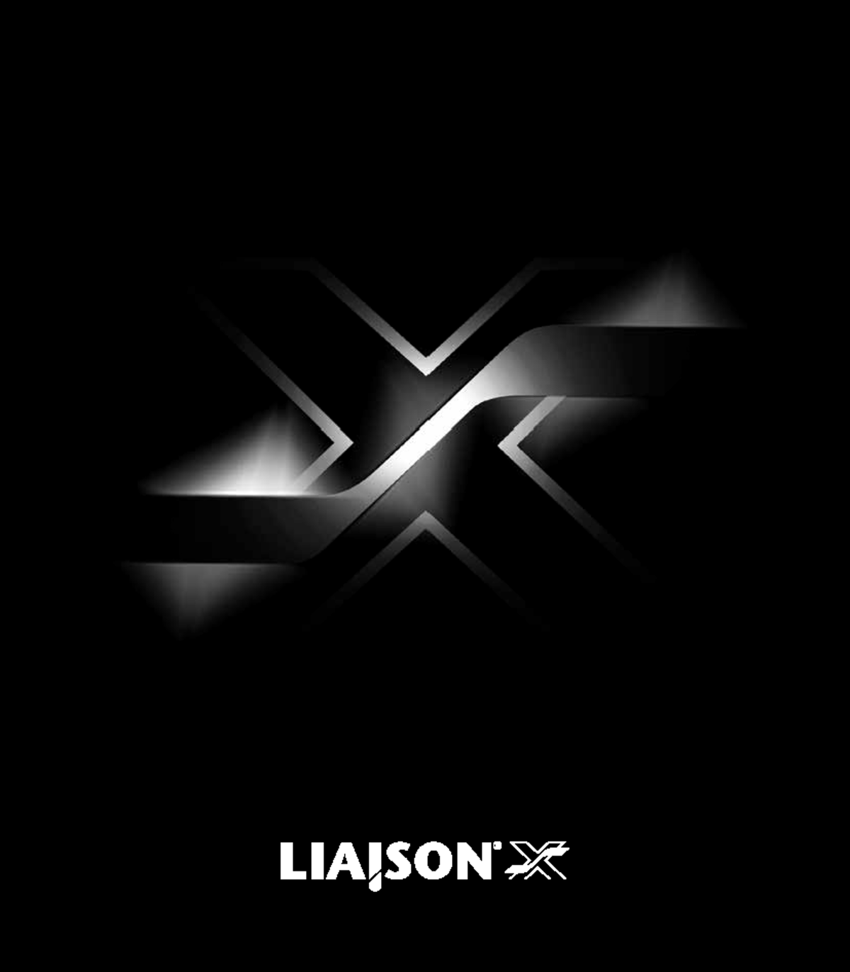 Brochure Liaison XS Dia Sorin - LIAISON® XS Delivers a high technology ...