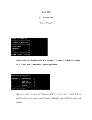 DAD 220 Module Four Major Activity Database Documentation Brassard - Replace the bracketed text ...