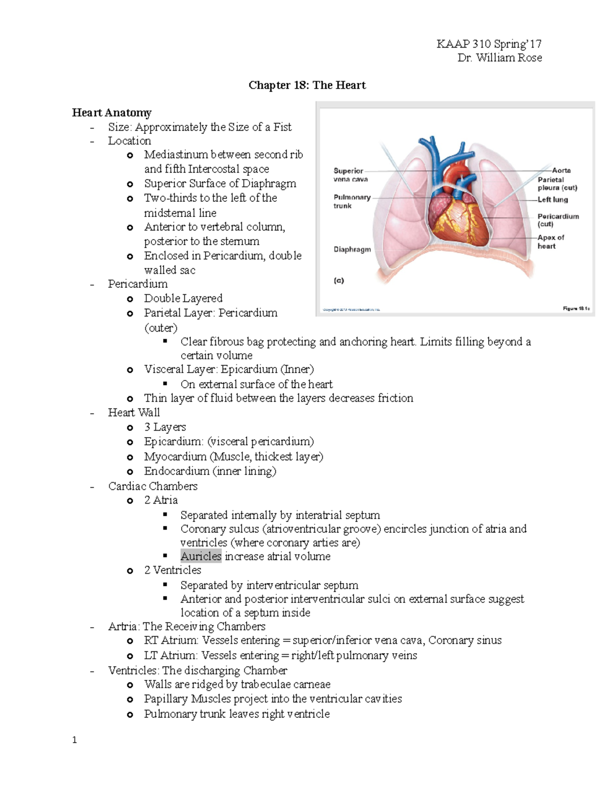 Ch 18 The Heart - Dr. Rose Spring 2017 - Dr. William Rose Chapter 18 ...