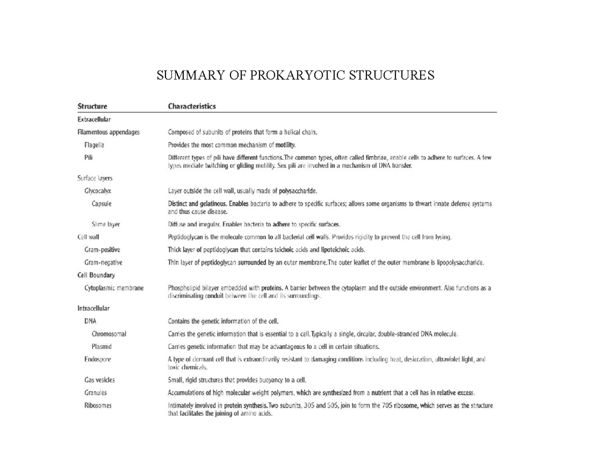 Prokaryote Characteristics - SUMMARY OF PROKARYOTIC STRUCTURES ...