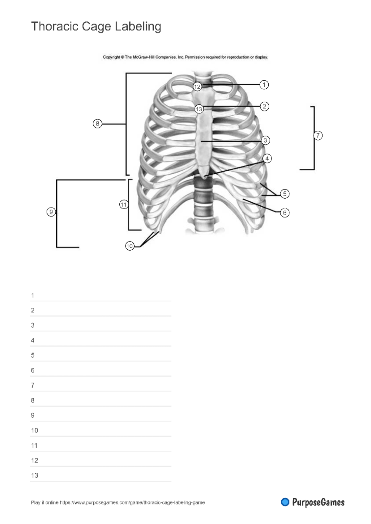 Worksheet - ako ay kupal logs - Logistics Management - Thoracic Cage ...