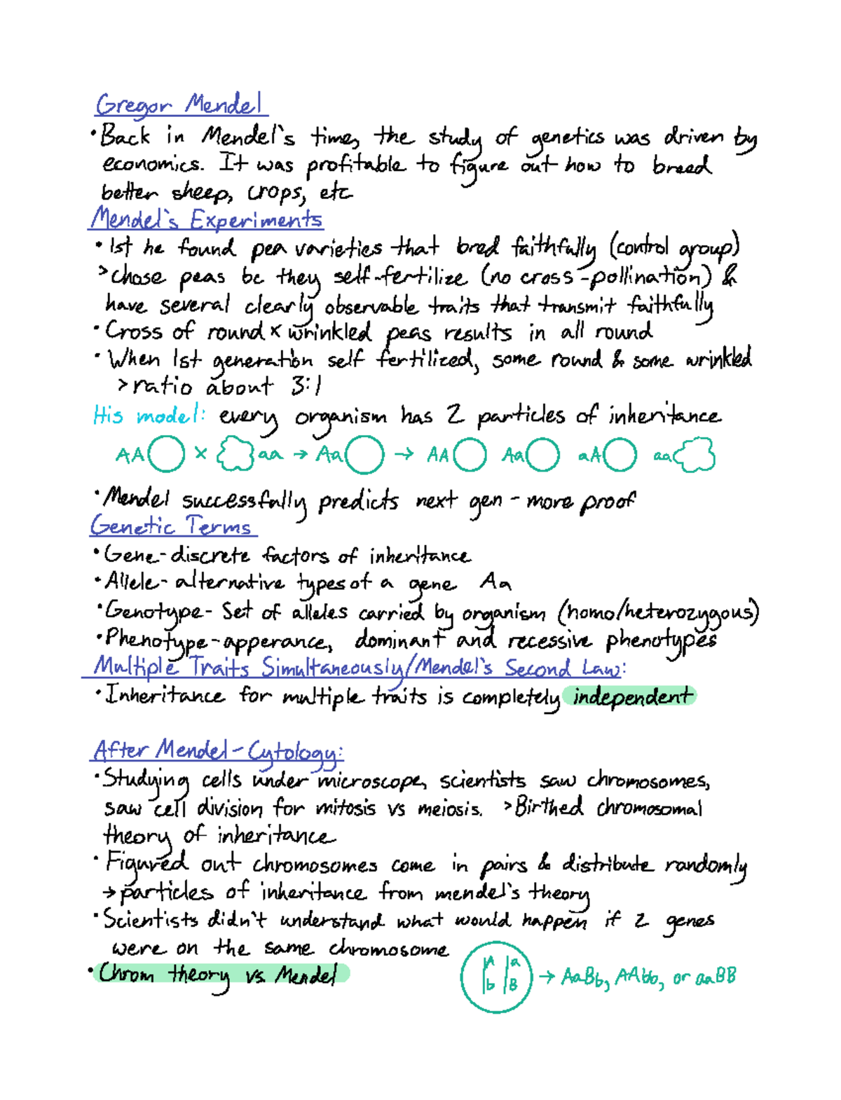 Discovery of Genetics - ####### Gregor Mendel Back in Mendel's time the ...