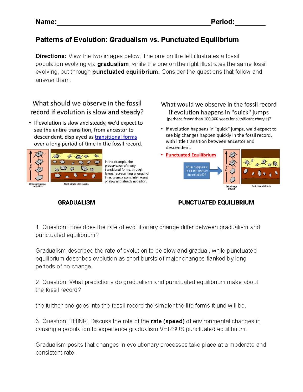 Copy of Copy of Evolutionary Patterns Grad vs Punct Eq - - Studocu