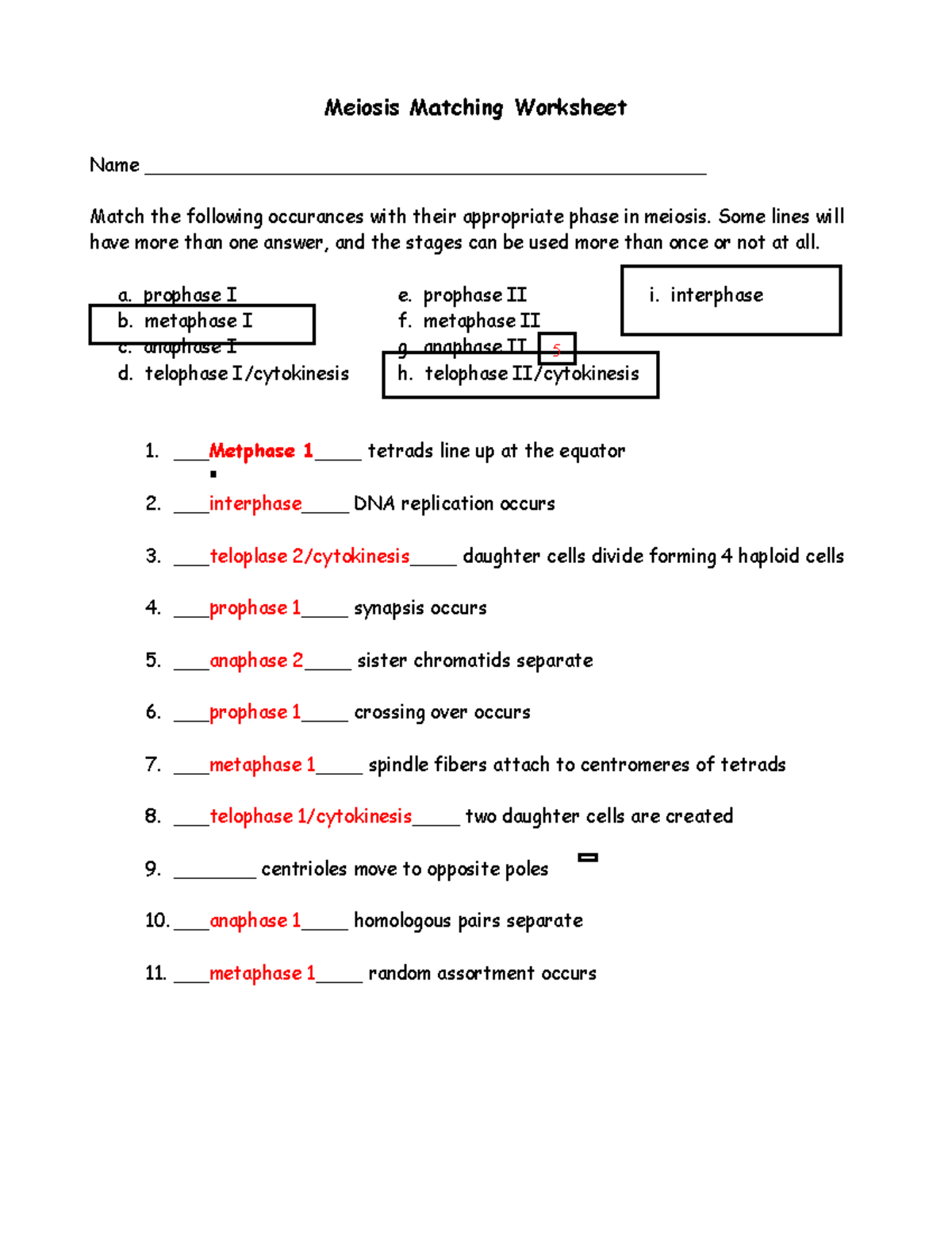 Ch 13 Meiosis Matching Worksheet - Meiosis Matching Worksheet Name ...