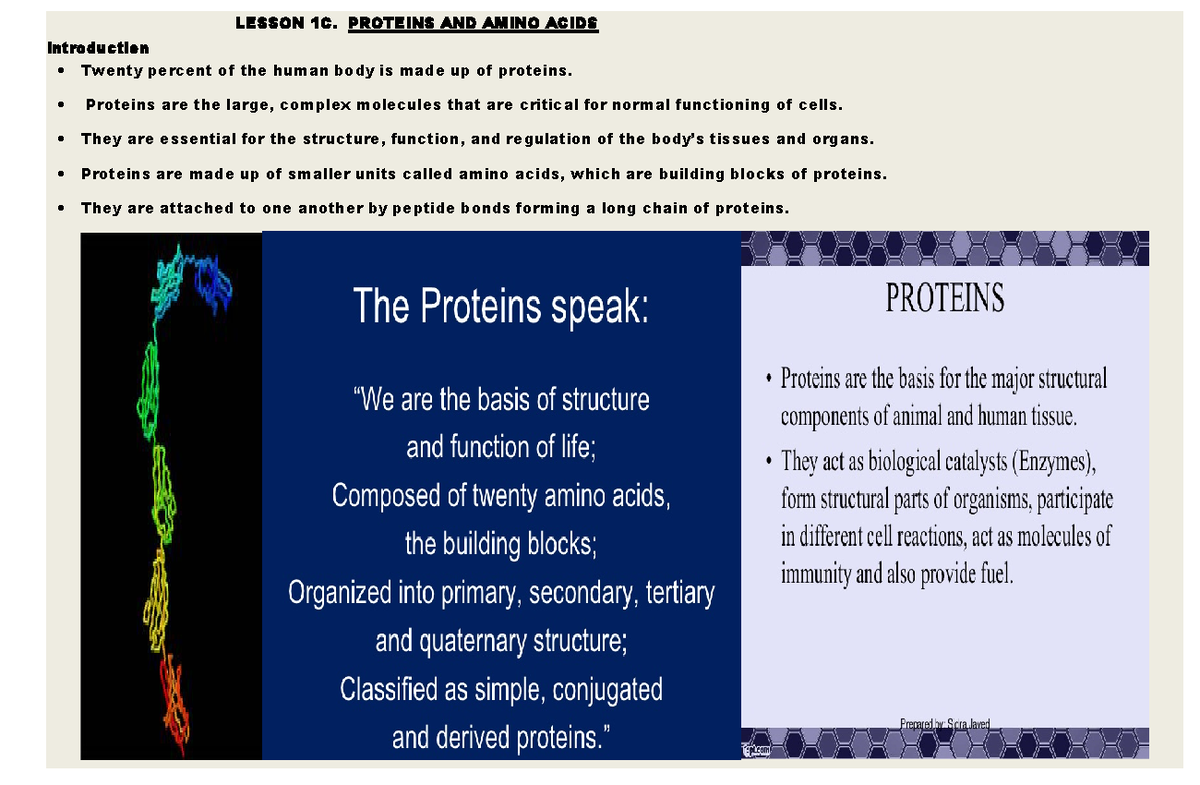 Lesson-1C - notes - LESSON 1C. PROTEINS AND AMINO ACIDS Introduction ...
