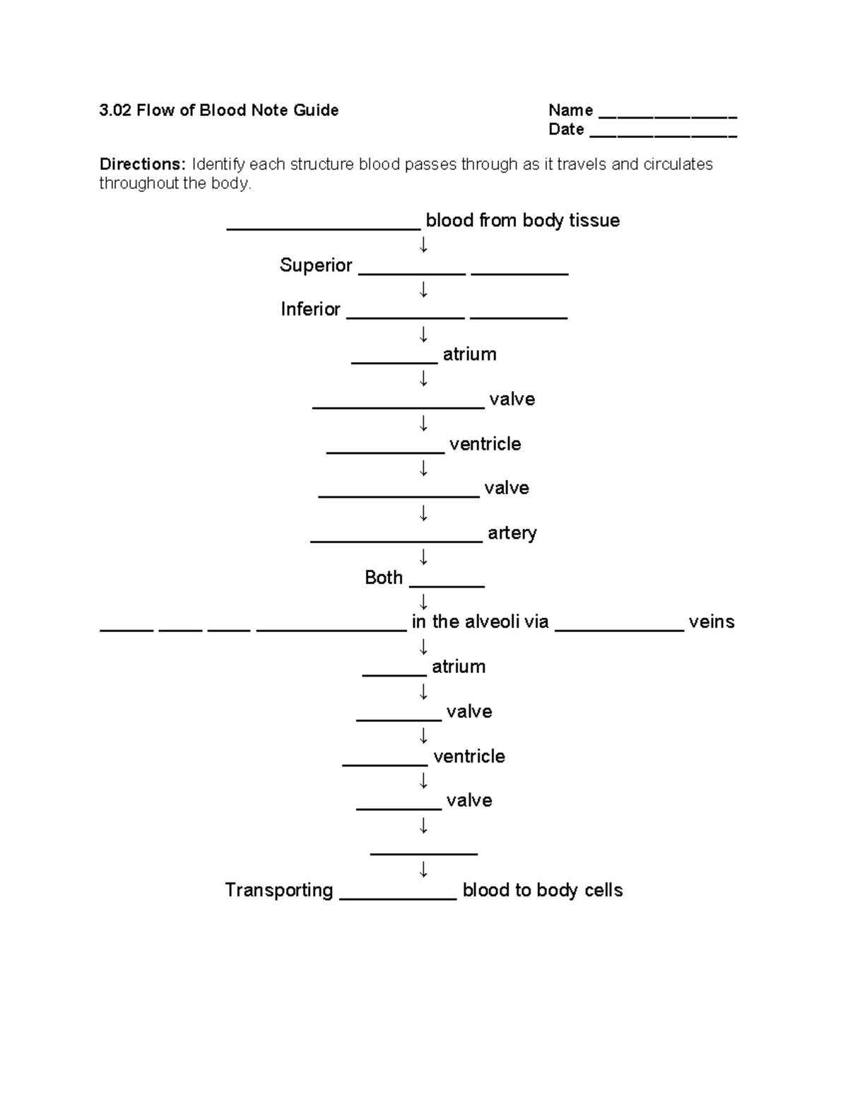 3.02 Flow of Blood Note Guide - __________________ blood from body ...