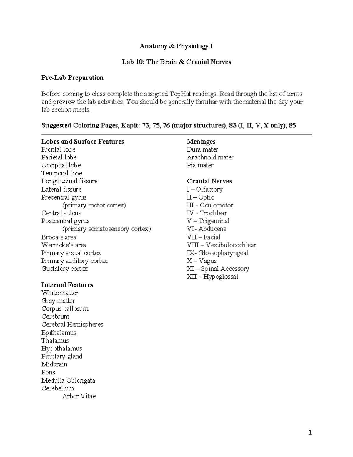 Lab+10+Packet+Brain+%26+Cranial+Nerves - 1 Anatomy & Physiology I Lab ...