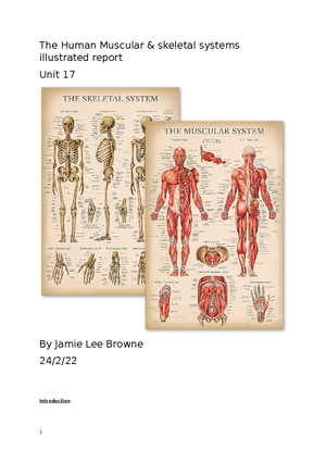 Btec-sport-revision-guide-skeletal-system-2019 - NAME: BTEC Revision ...