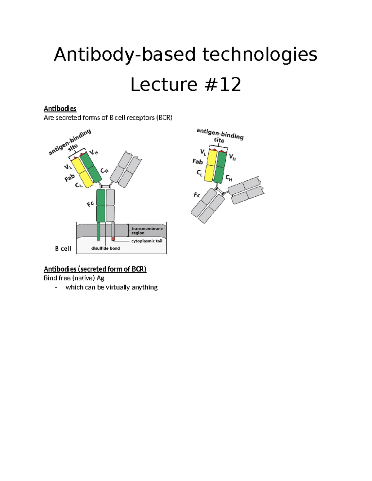 #12 antibody-based technologies - Antibody-based technologies Lecture Antibodies Are secreted ...