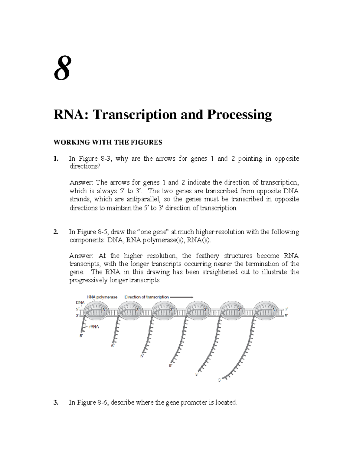 Seminar assignments - excercise 8 with the book "introduction to ...