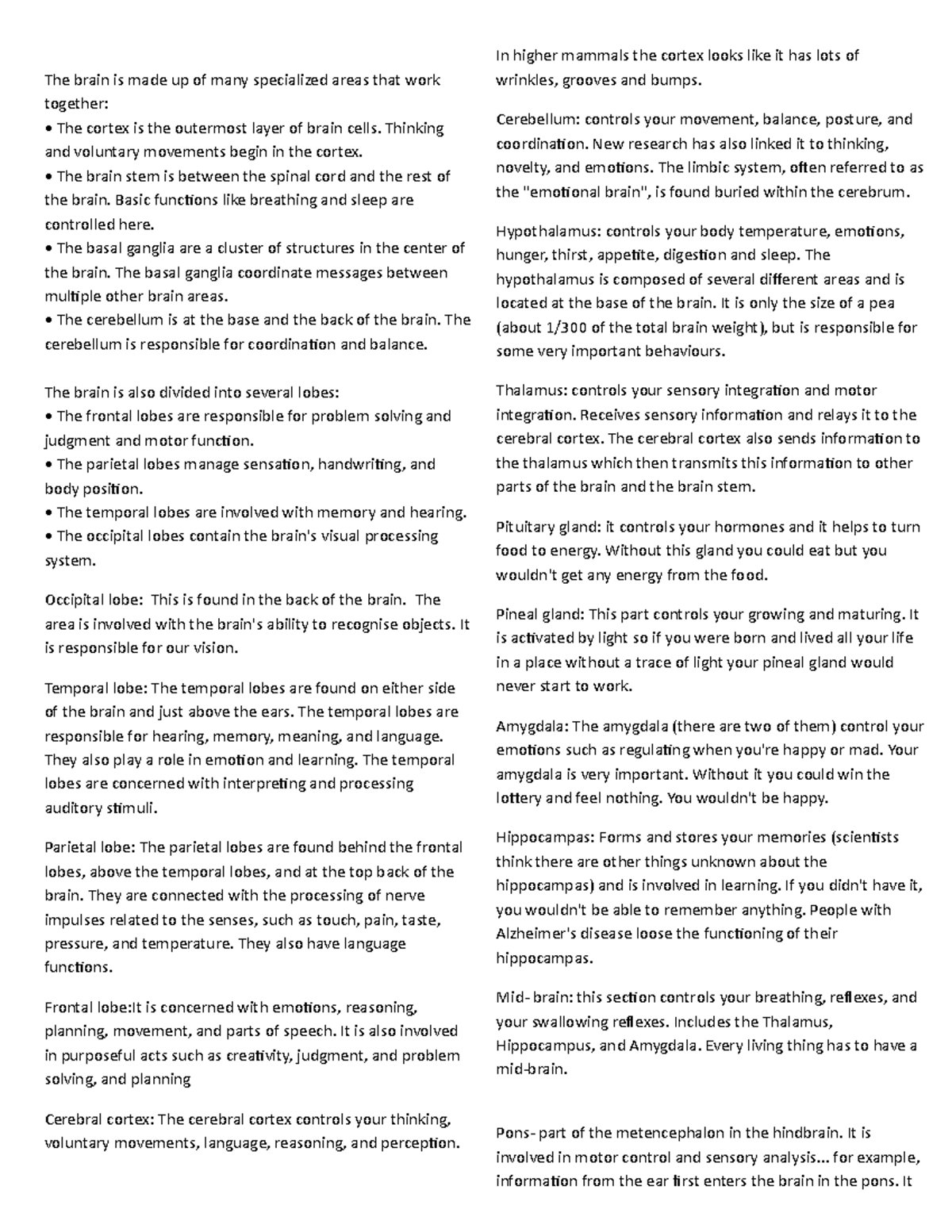 Biopsychology, Part 1 Basic - The brain is made up of many specialized ...