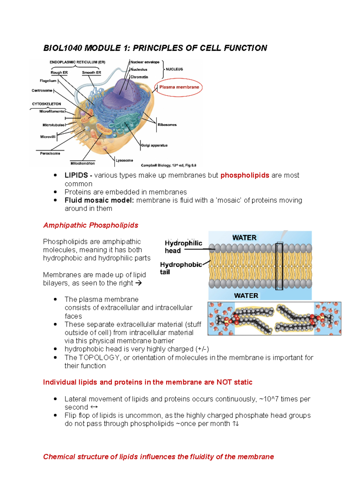 BIOL1040 Module 1 Cells - BIOL1040 MODULE 1: PRINCIPLES OF CELL ...