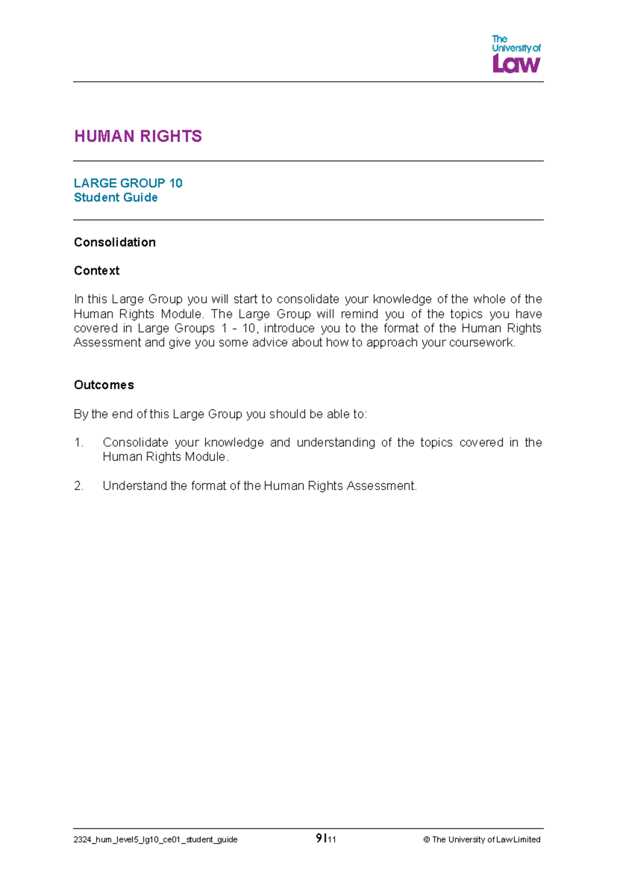 Human Rights large 10 - HUMAN RIGHTS LARGE GROUP 10 Student Guide ...
