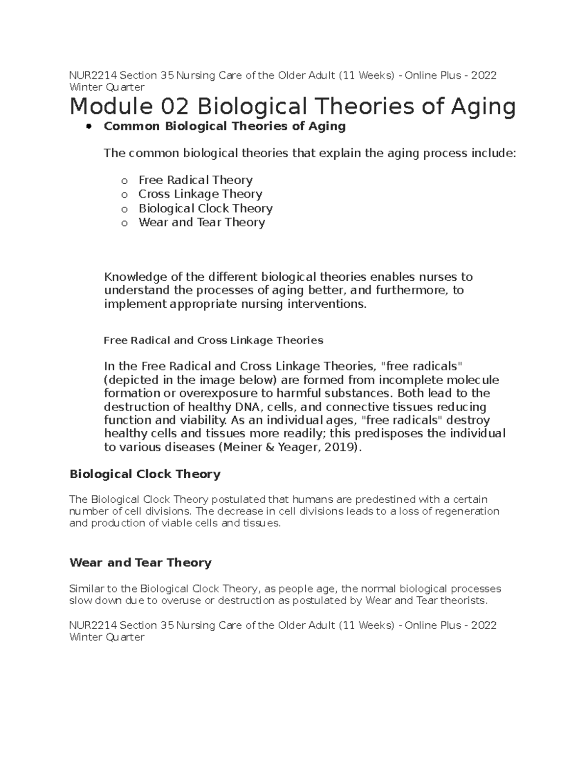 Mod 2 study notes NUR2214 Section 35 Nursing Care of the Older Adult ...