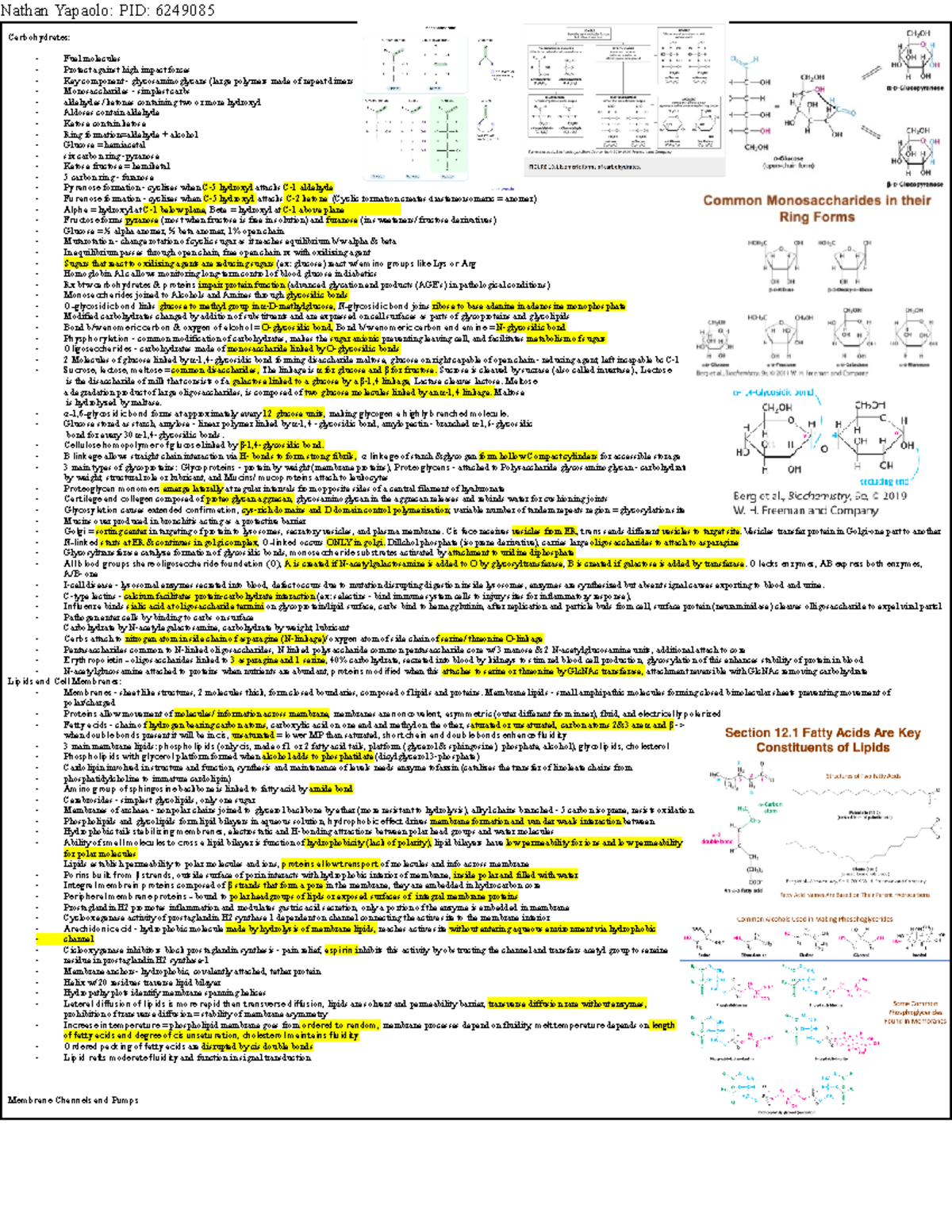 MA3 Biochem Cheat sheet - Nathan Yapaolo: PID: 6249085 Carbohydrates ...