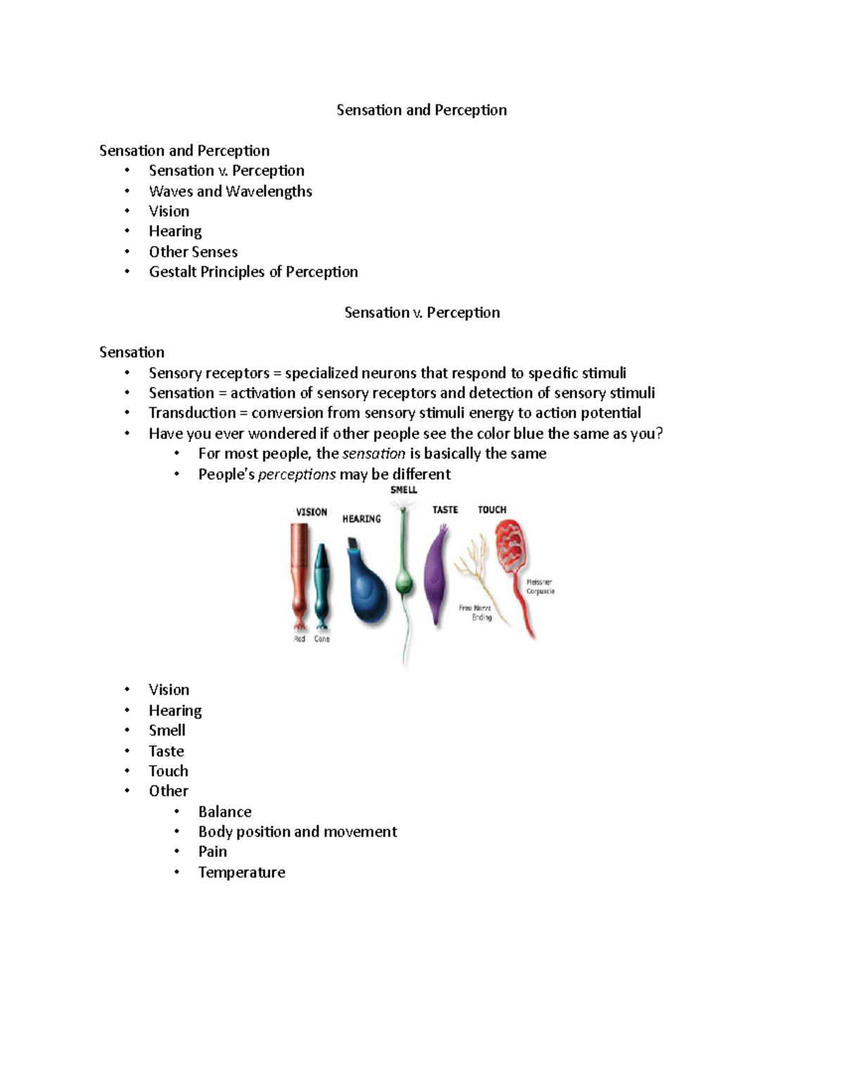 Chapter 5 Sensory and Perception - Sensation and Perception Sensation ...