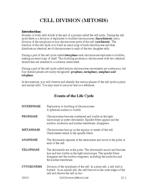 Cell Cycle Mitosis Interactive Note Taking Sheet and Microscope Lab ...