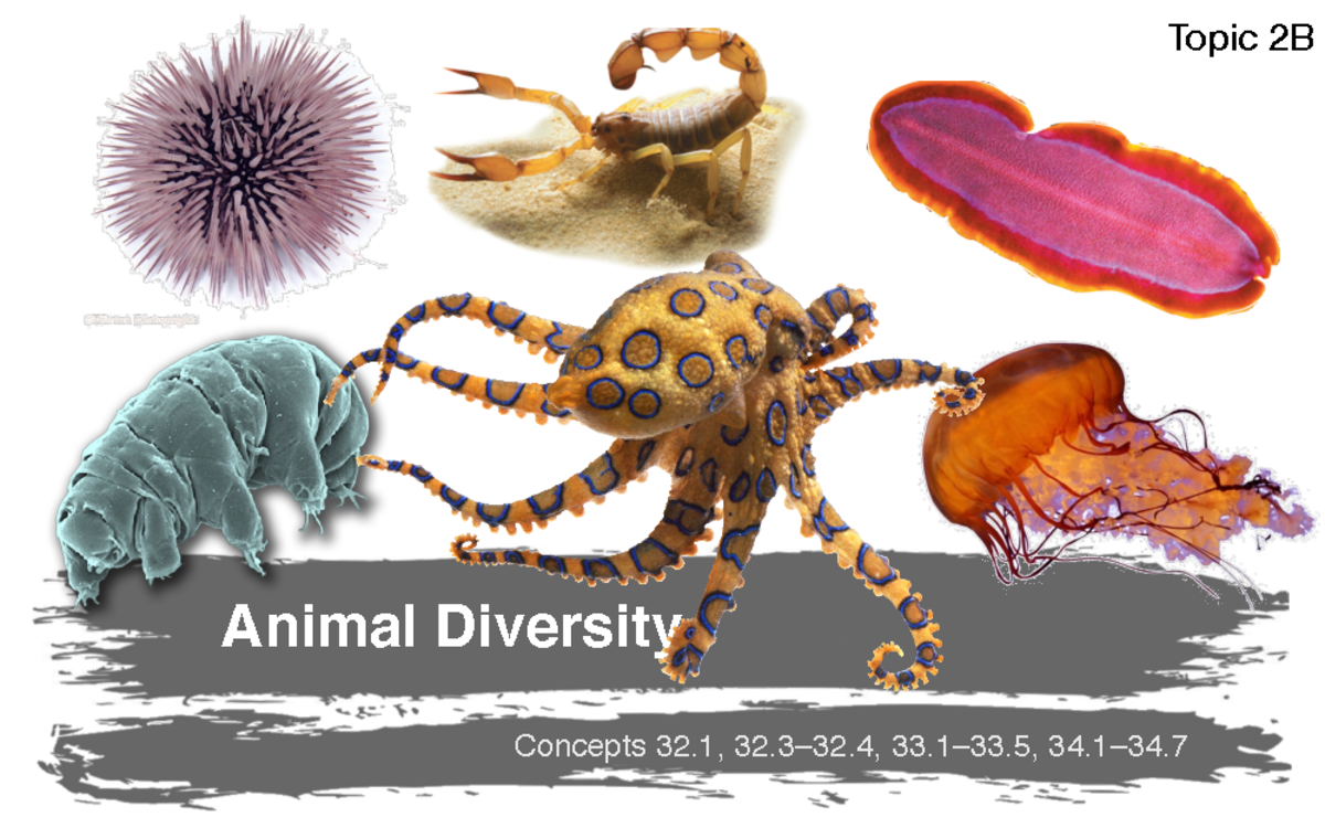 BIOL 1030 - Topic 2B - this course is bio1030 lectures and lab ...