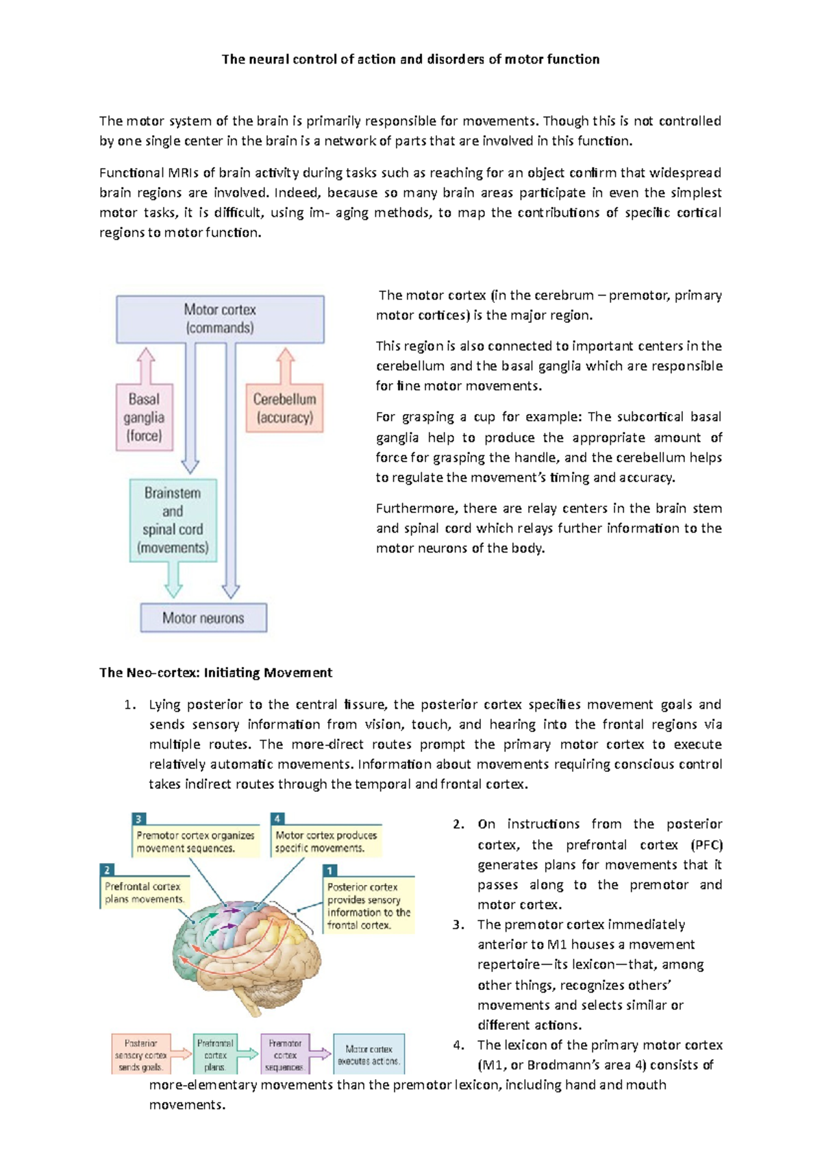 The neural control of action and disorders of motor function - Though ...