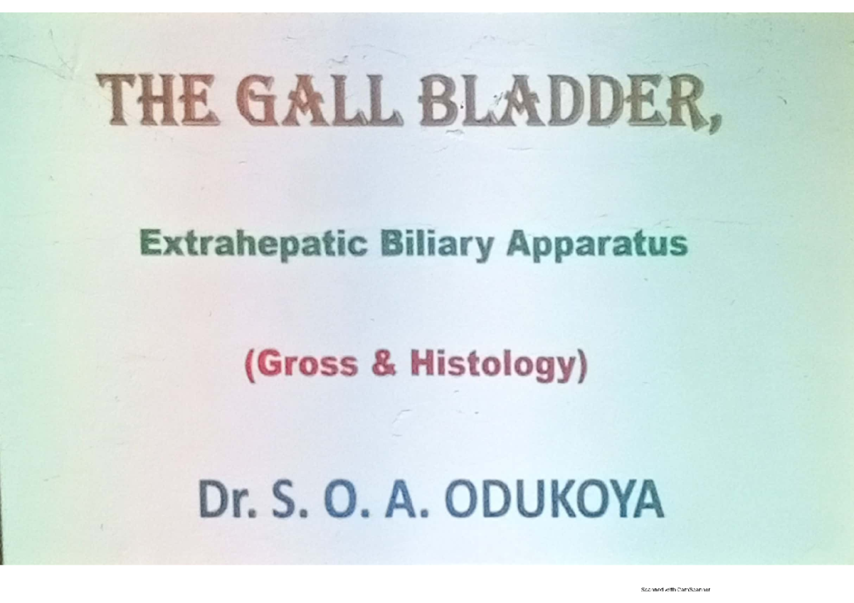 31. Gall bladder and posterior abdominal wall-1 - THE GALL BLADDER ...