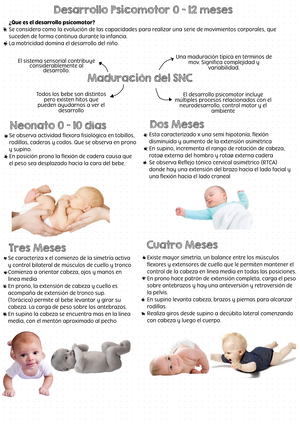 Infografía línea de tiempo cronológica multicolor - 0-2 MESES 2-4 MESES 4-6 MESES 6-8 MESES 8-10 ...