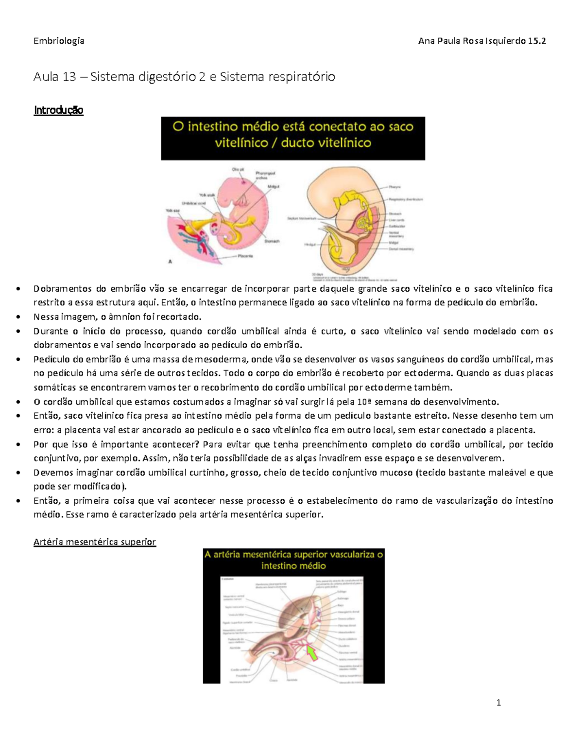 Aula 13 - Sistema digestório 2 e sistema respiratório - Warning: TT: undefined function: 22 ...