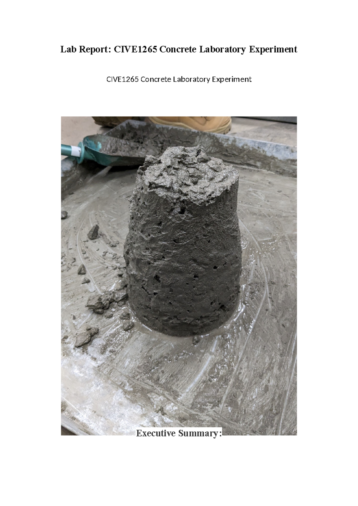 Lab Report - The dry component of concrete called Portland cement, when ...