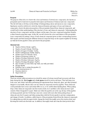 Double Replacement Reactions Lab Report - Lab #5 Double Replacement ...