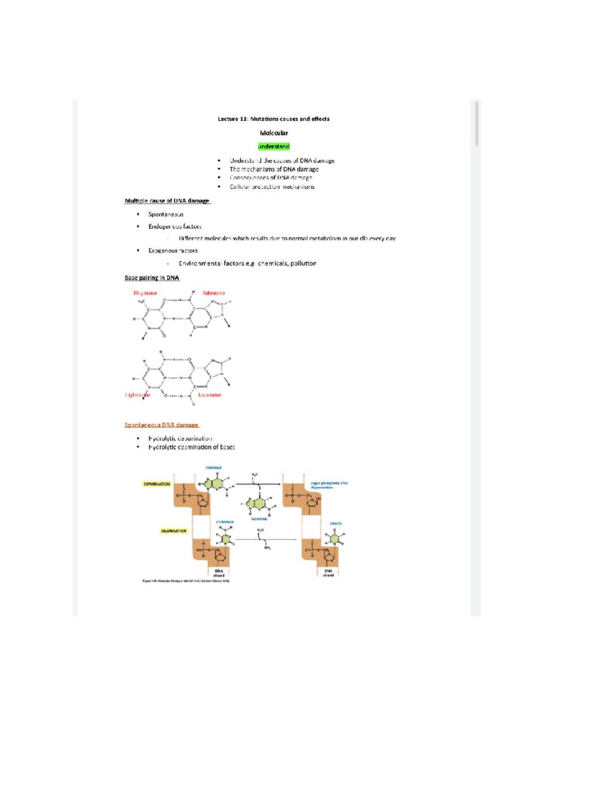 Document - Lecturee - C900 - Studocu