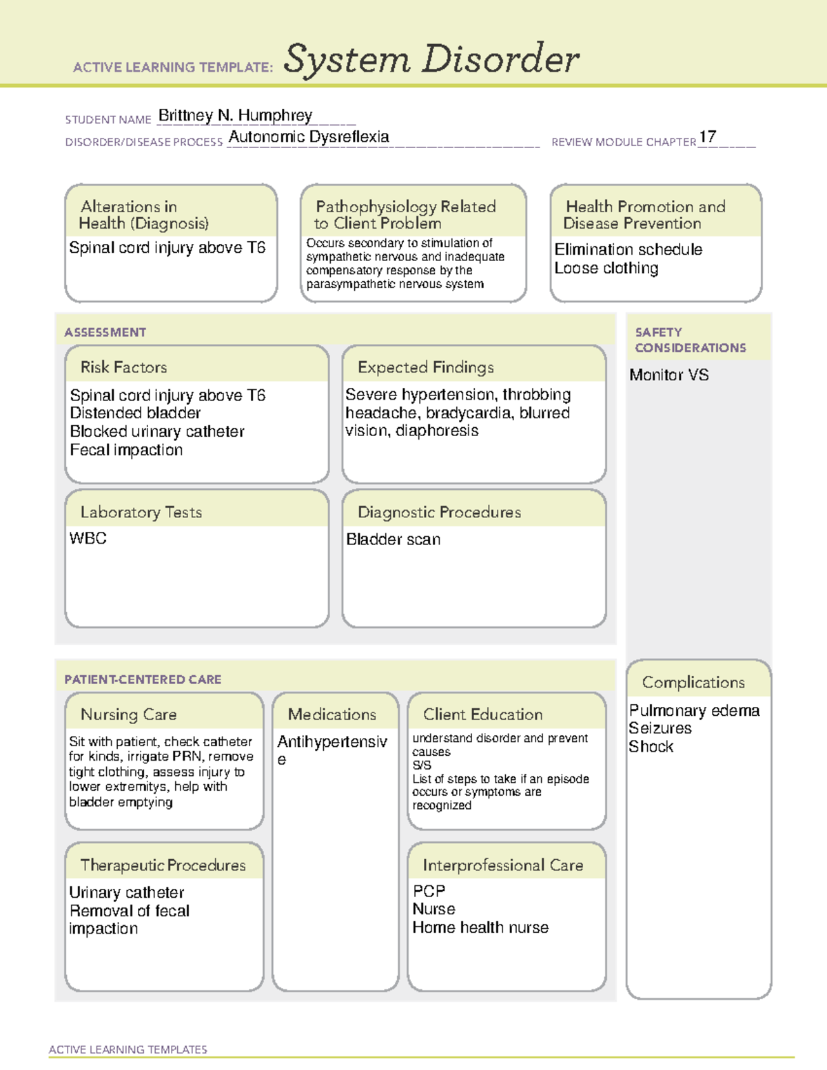 Temp 9 - Med Surg ATI - ACTIVE LEARNING TEMPLATES System Disorder ...