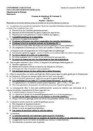 19 TS exercices revision - Exercices de révision A- 2ème PARTIE ...