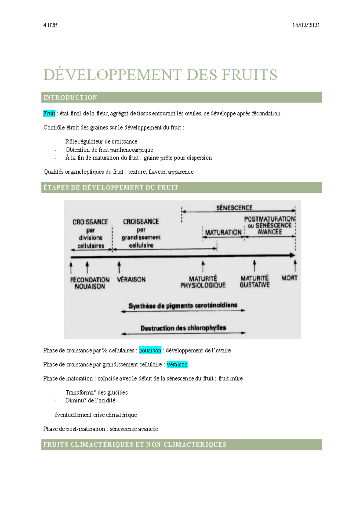 YJ - Développement des fruits - 4 16/02/ DÉVELOPPEMENT DES FRUITS ...