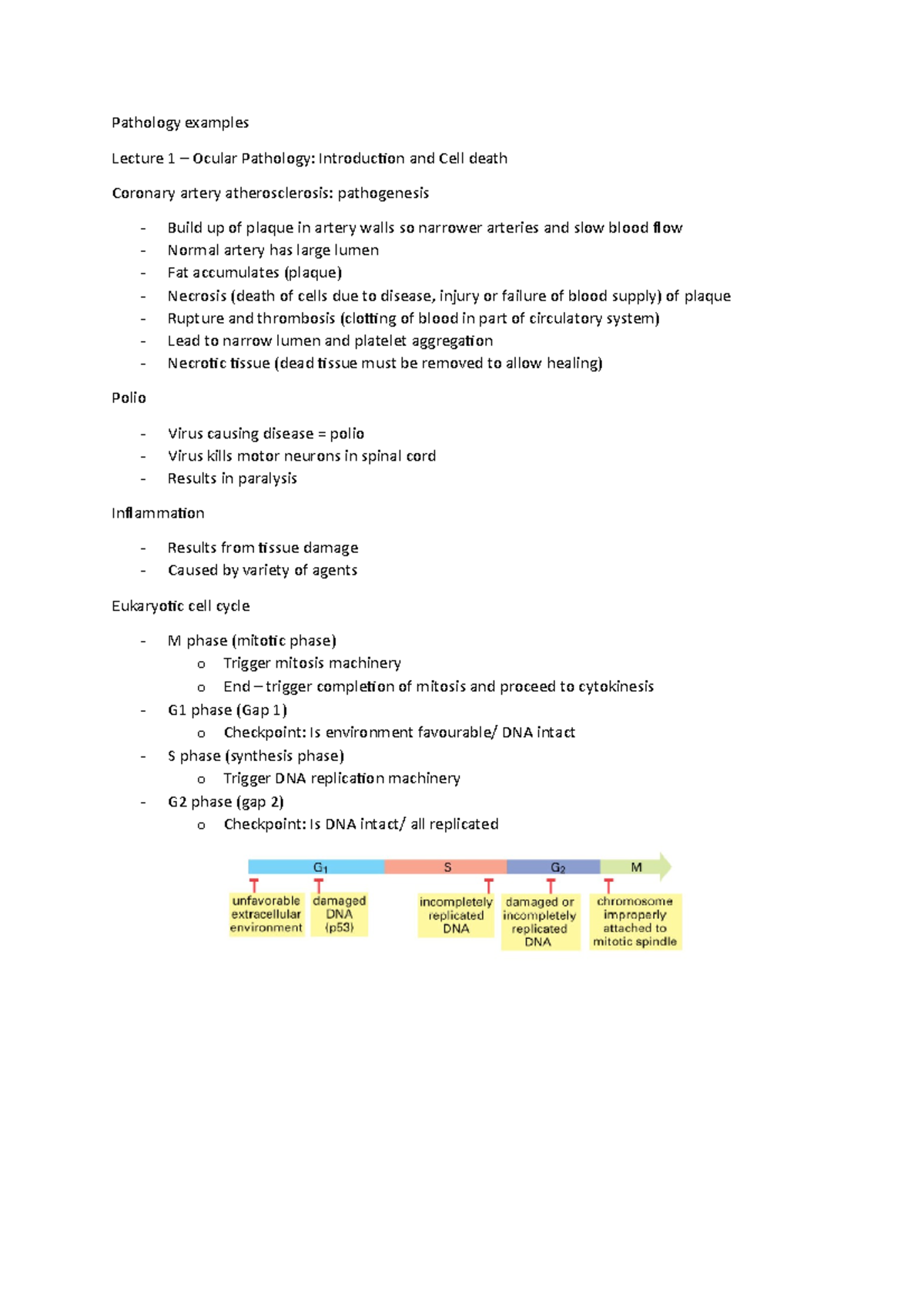 Pathology examples - Pathology examples Lecture 1 – Ocular Pathology ...