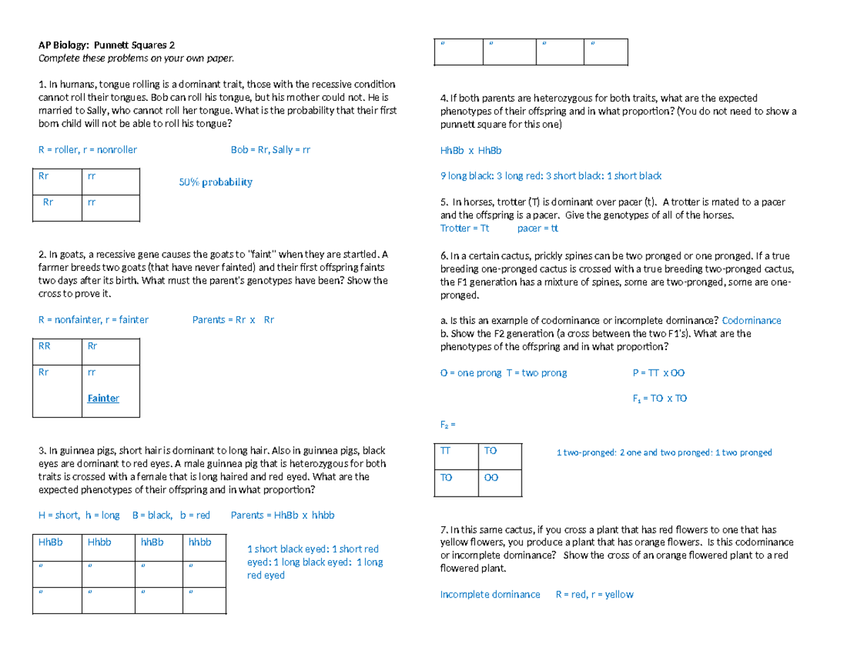 Punnett Squares 2 Key - Punnet Square - AP Biology: Punnett Squares 2 ...