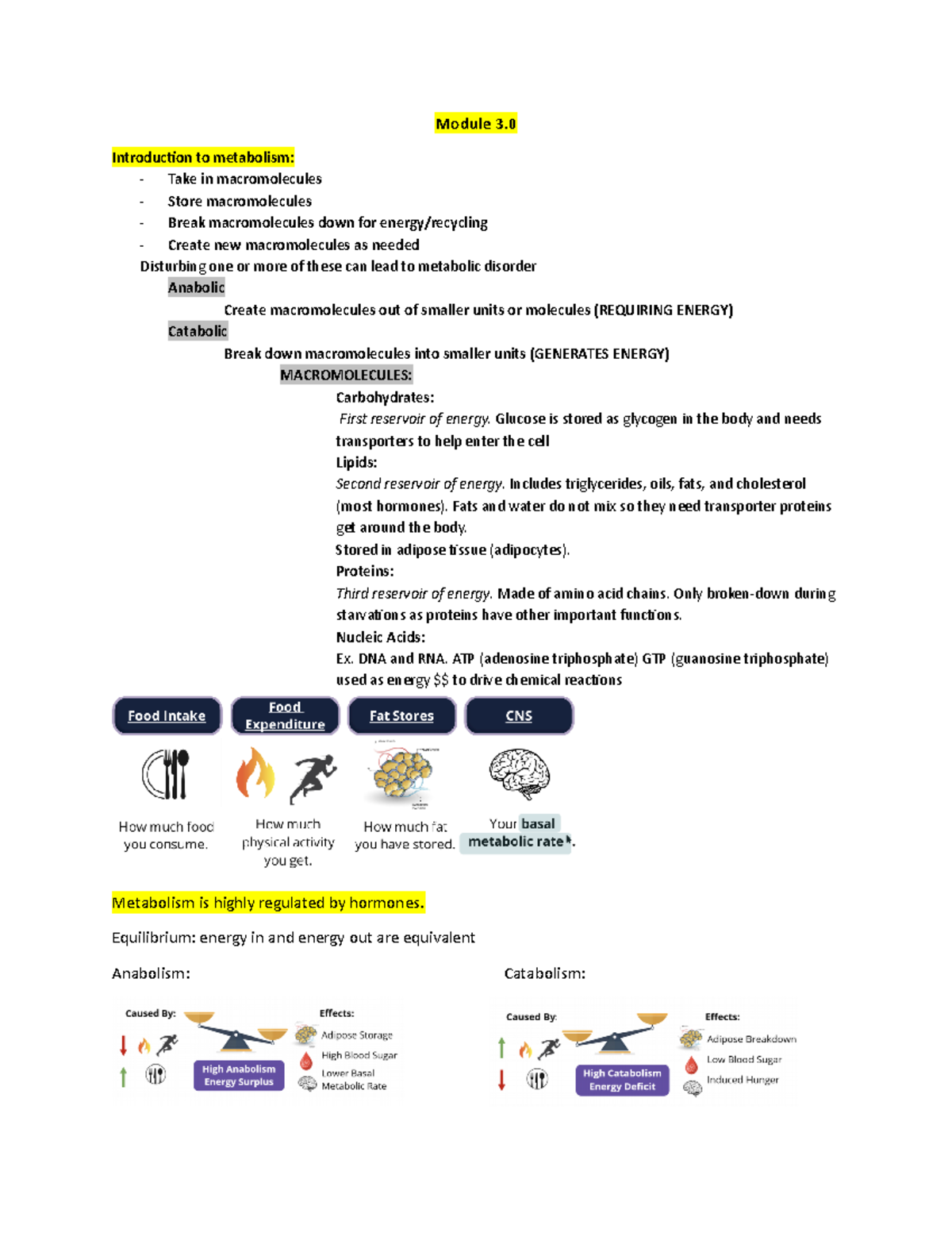 Module 3 - Notes - Module 3. Introduction to metabolism: Take in ...