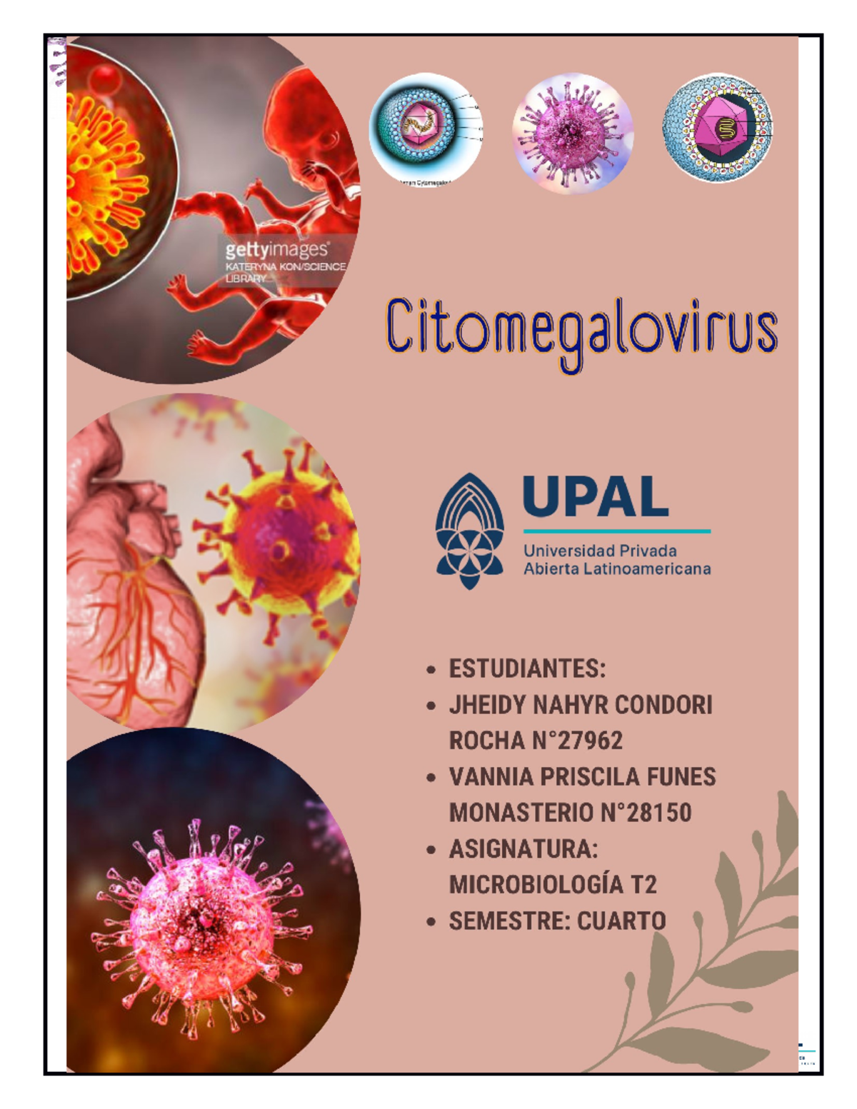 Citomegalovirus OFI - Material de apoyo - Citomegalovirus El ...