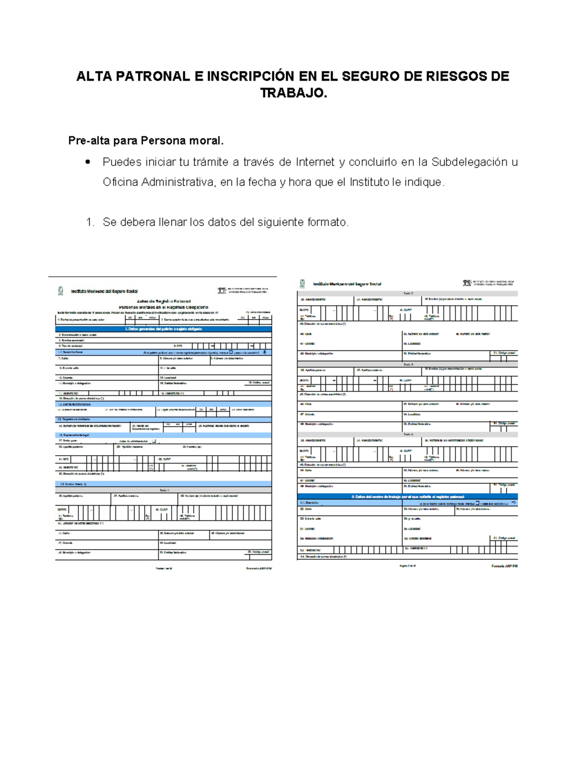 ALTA Patronal E Inscripción EN EL Seguro DE Riesgos DE Trabajo-1 - ALTA ...