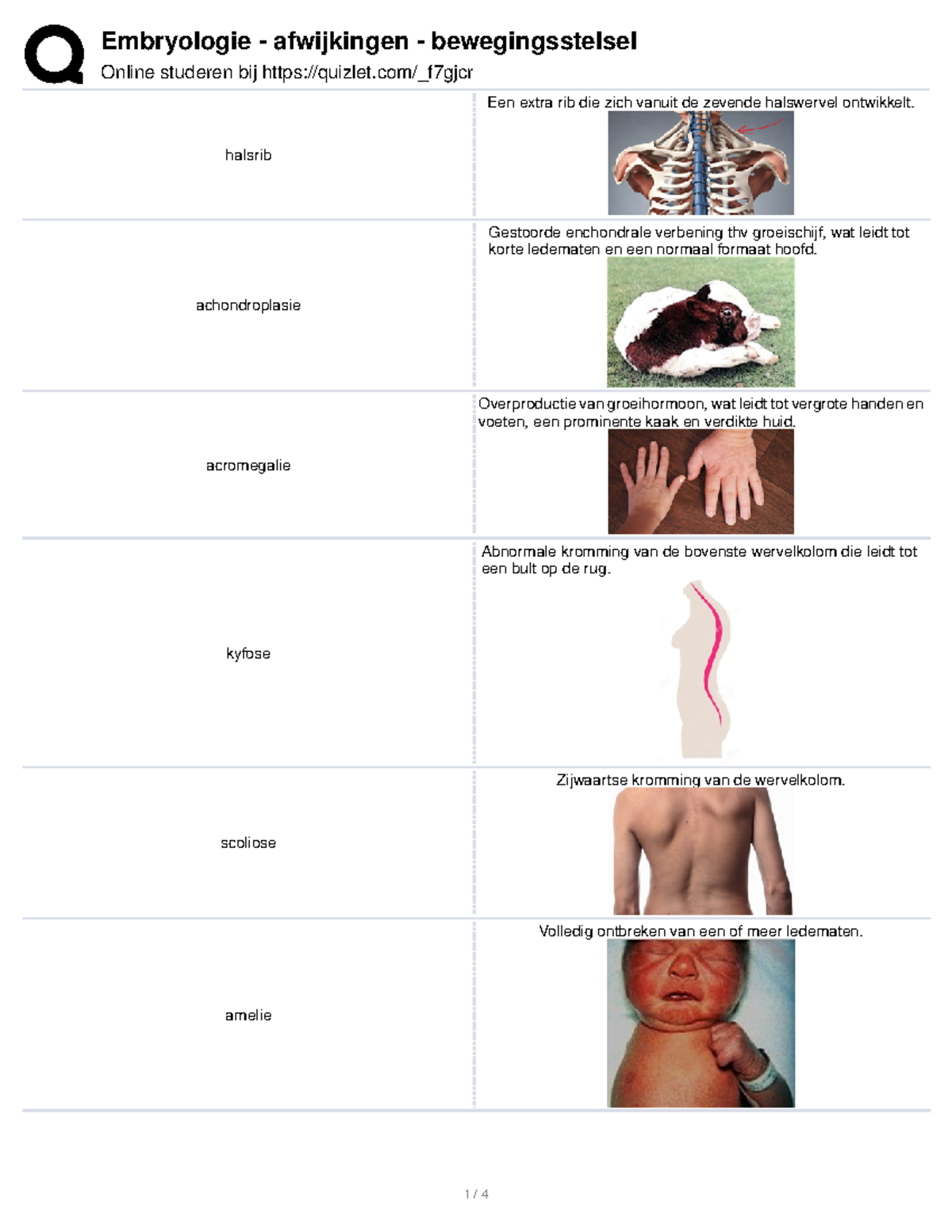 Afwijkingen - bewegingsstelsel - flashcards - Online studeren bij ...