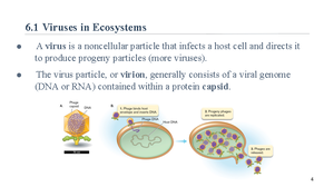 Intro to cell lab. Pt 2 of micro lab - BIOL 2440 - Studocu