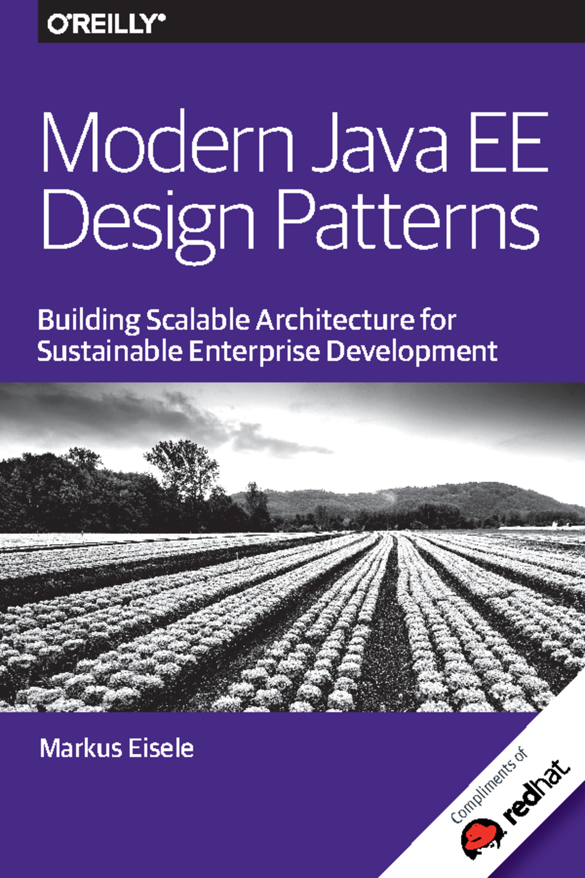 Modern Java EE Design Patterns Red Hat - Markus Eisele Building ...