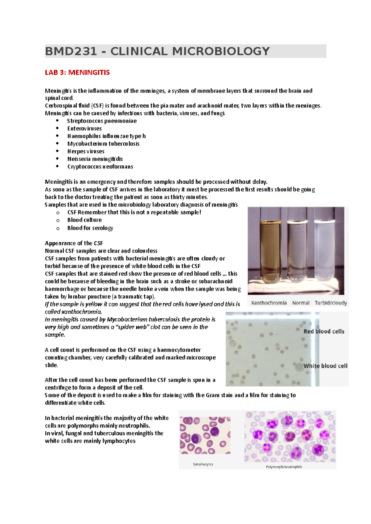 BMD231 Lab 3 - MENINGITIS - BMD231 - CLINICAL MICROBIOLOGY LAB 3 ...