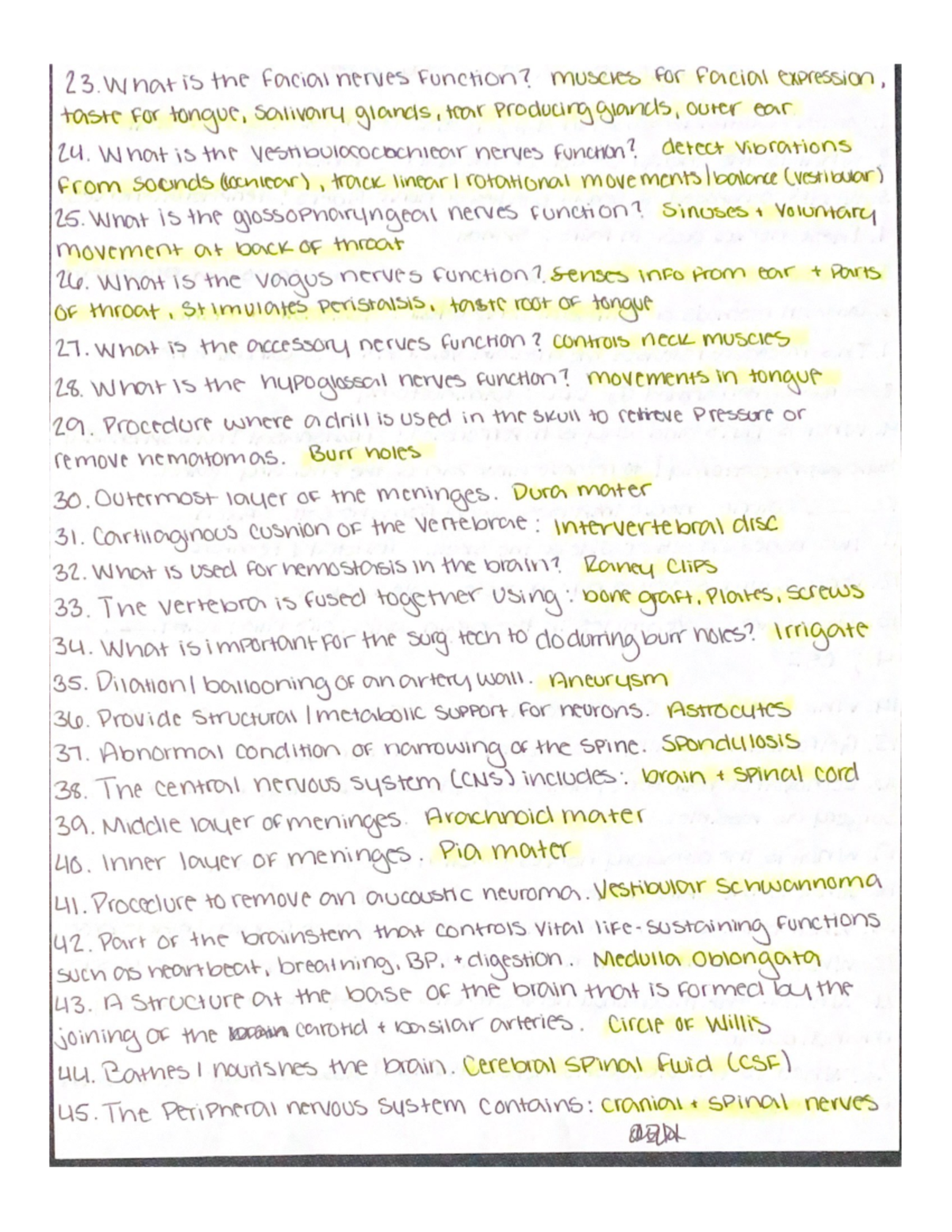 Ch 35 Neurosurgery Study Guide - SURG 211 - Studocu