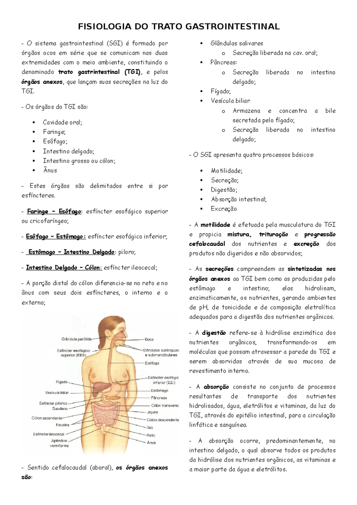 Todo Funcionamento Do Trato Gastrointestinal é Comandado Pelo Sistema ...