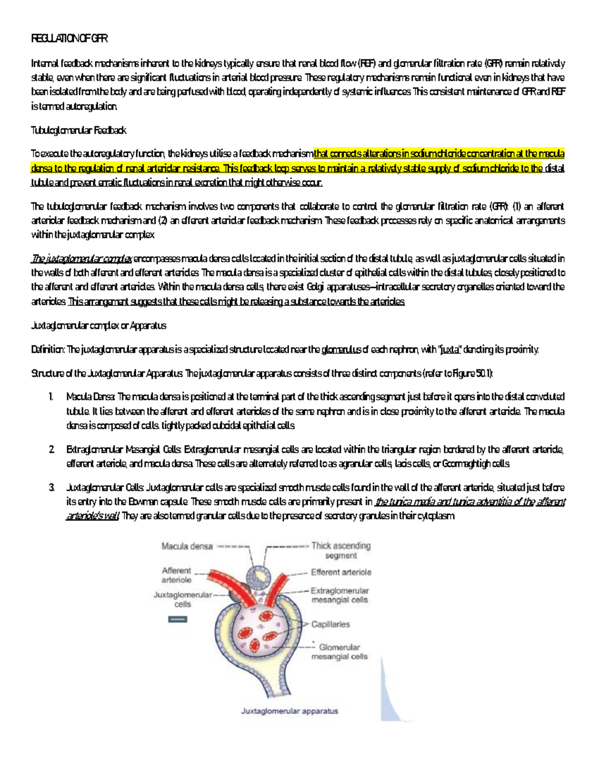 Renal Physiology - REGULATION OF GFR Internal feedback mechanisms ...