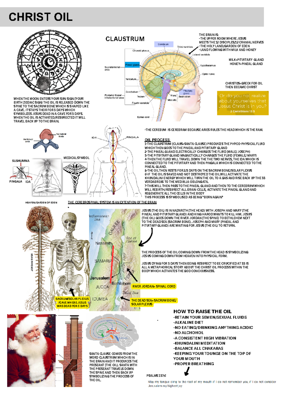 Book of spirituality - CHRIST OIL THE CEREBROSPINAL SYSTEM IS AN ...