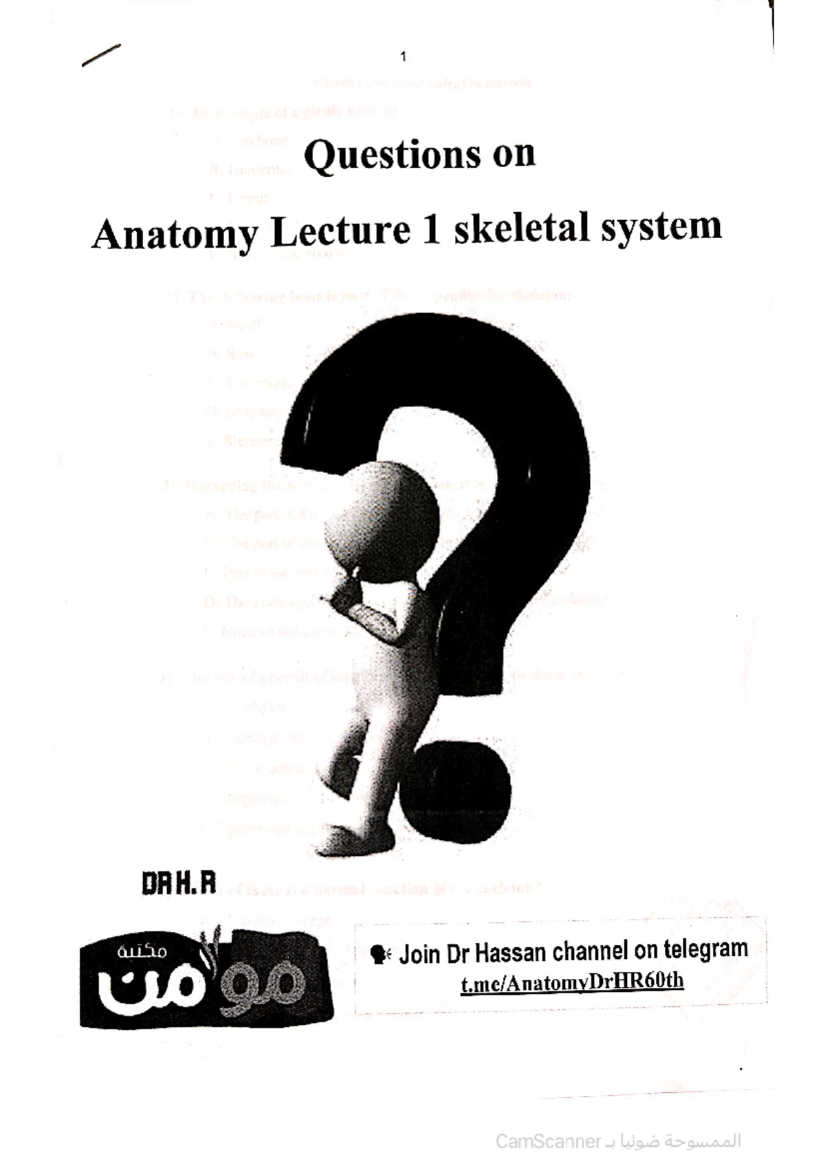 Questions on anatomy L1 - Anatomy - Studocu